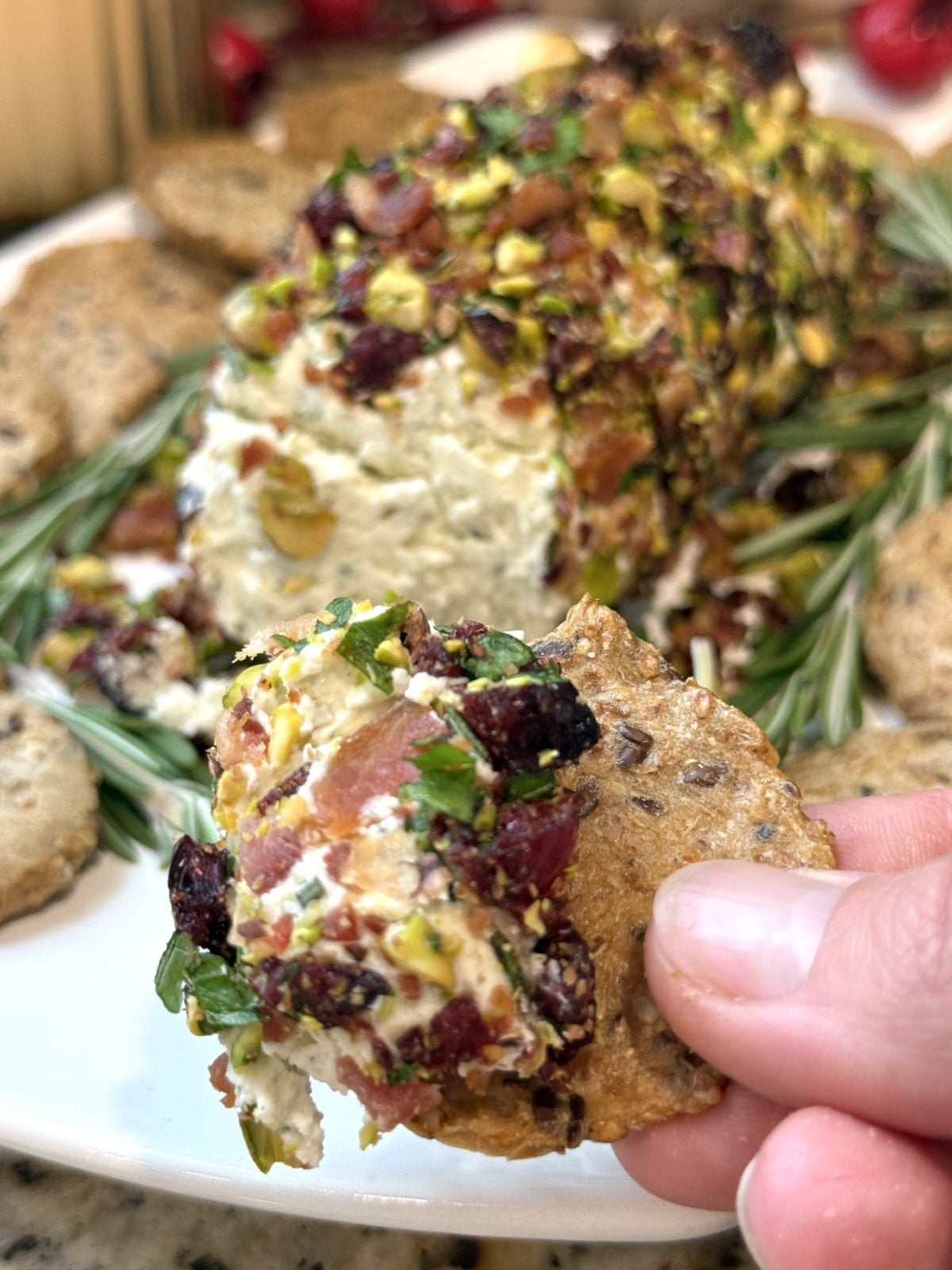 10-Minute Holiday Boursin Cheese Dip Log (Easy Festive Appetizer)